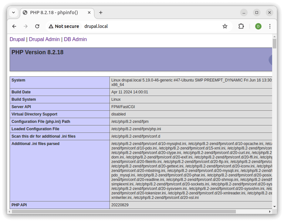 How To Configure Nginx For Drupal 10 And Php Fpm Zend By Perforce